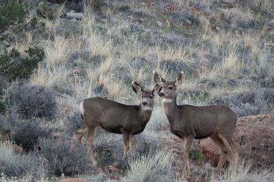 Moab 12/15/2021. | Fish Catching Travel